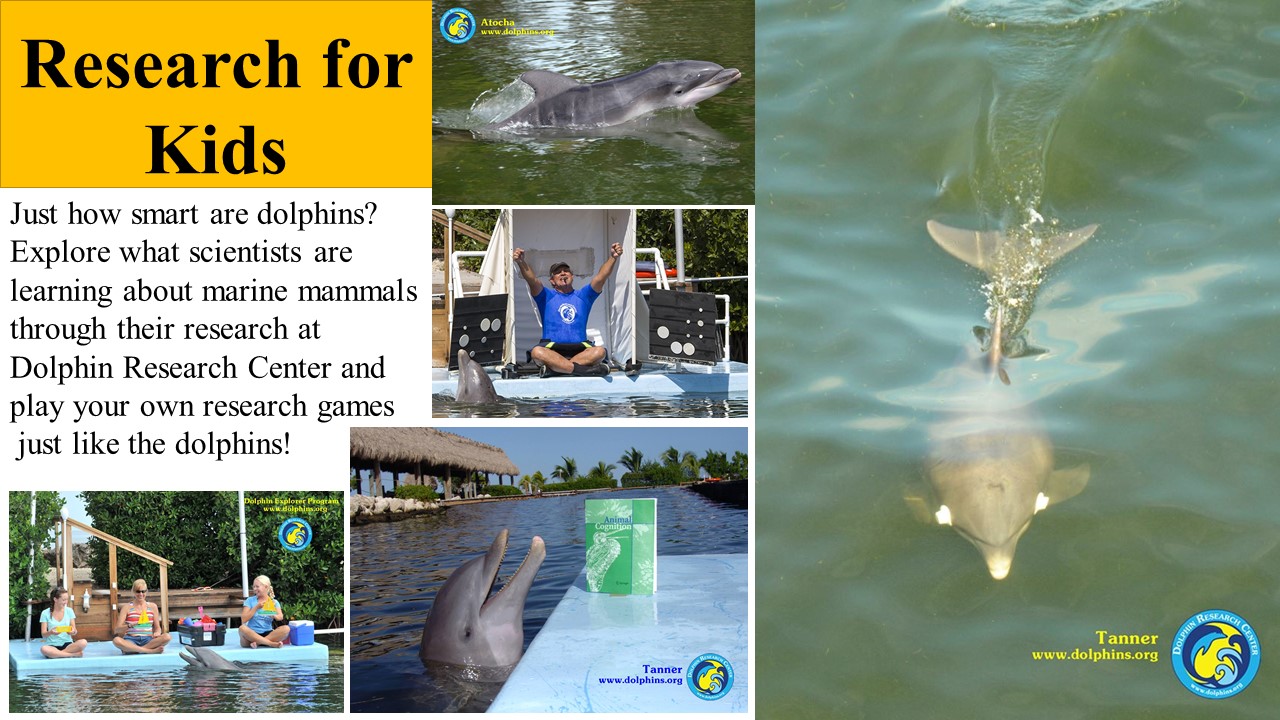 Center for Interactive Learning - ViewContentProvider