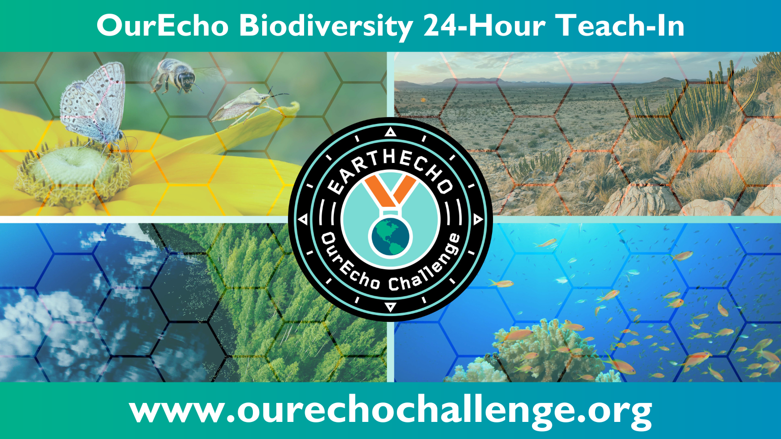 Center for Interactive Learning - Content Provider Program