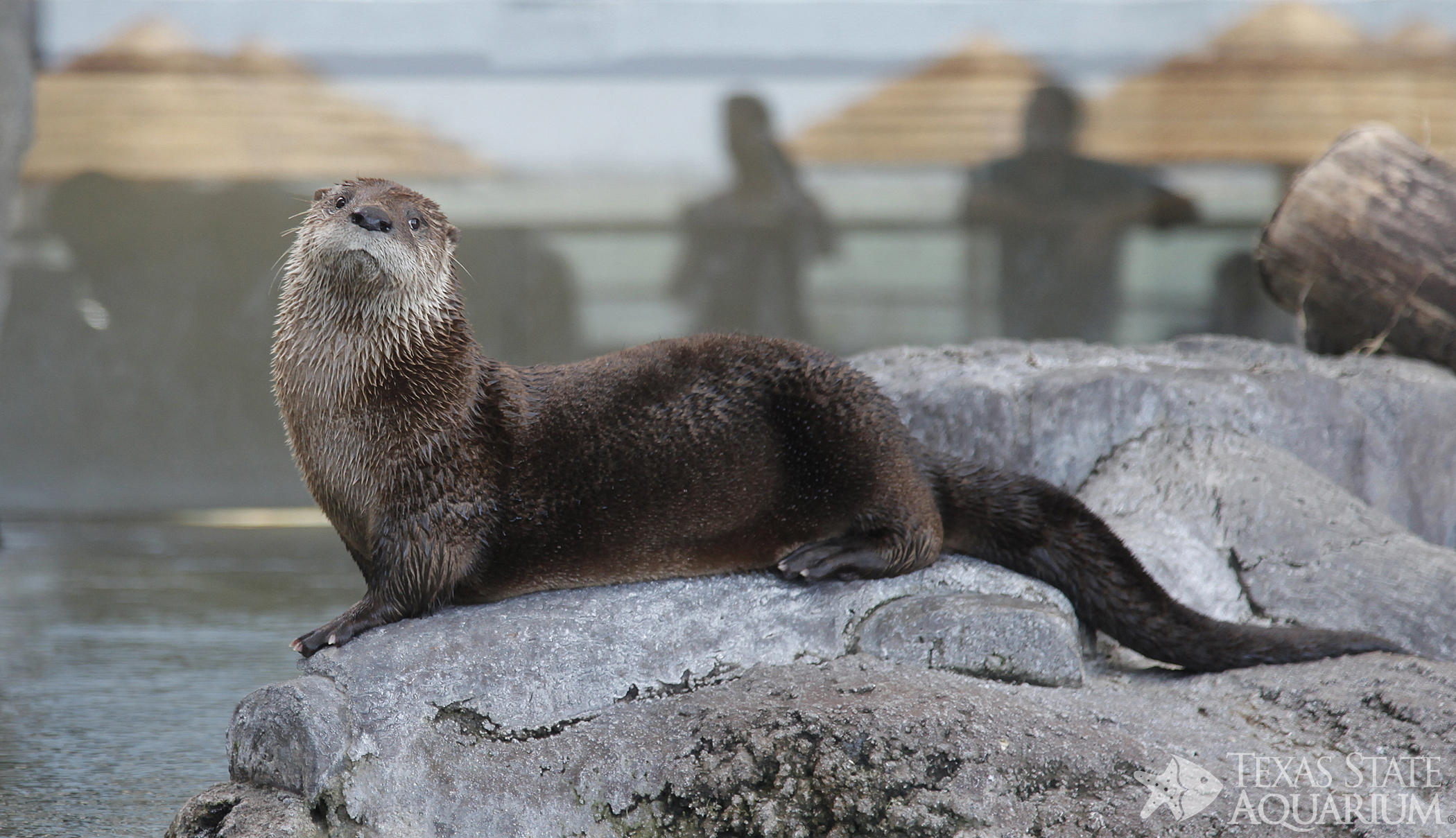 Center for Interactive Learning - Content Provider Program