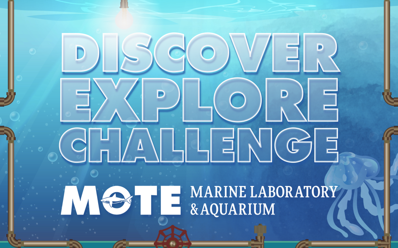 Center for Interactive Learning - Content Provider Program