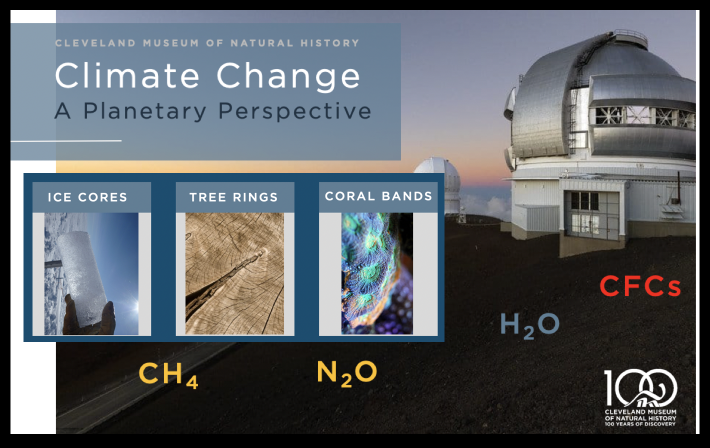 Center for Interactive Learning - ViewContentProvider