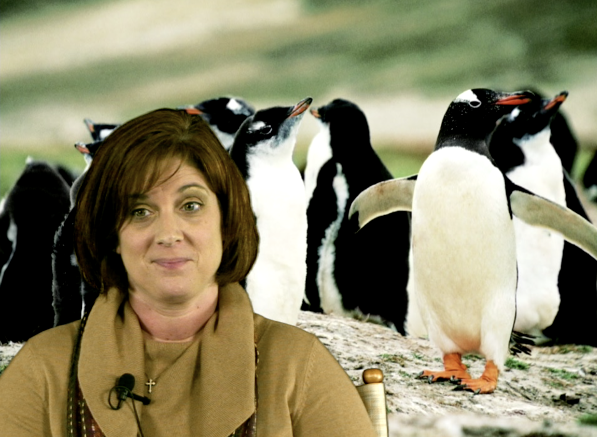 Center for Interactive Learning - Content Provider Program