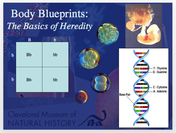 Center for Interactive Learning - Content Provider Program