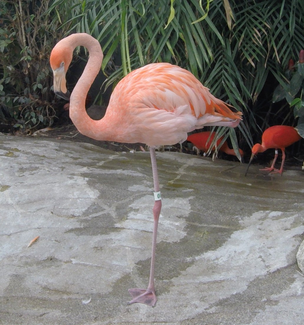 Center for Interactive Learning - ViewContentProvider