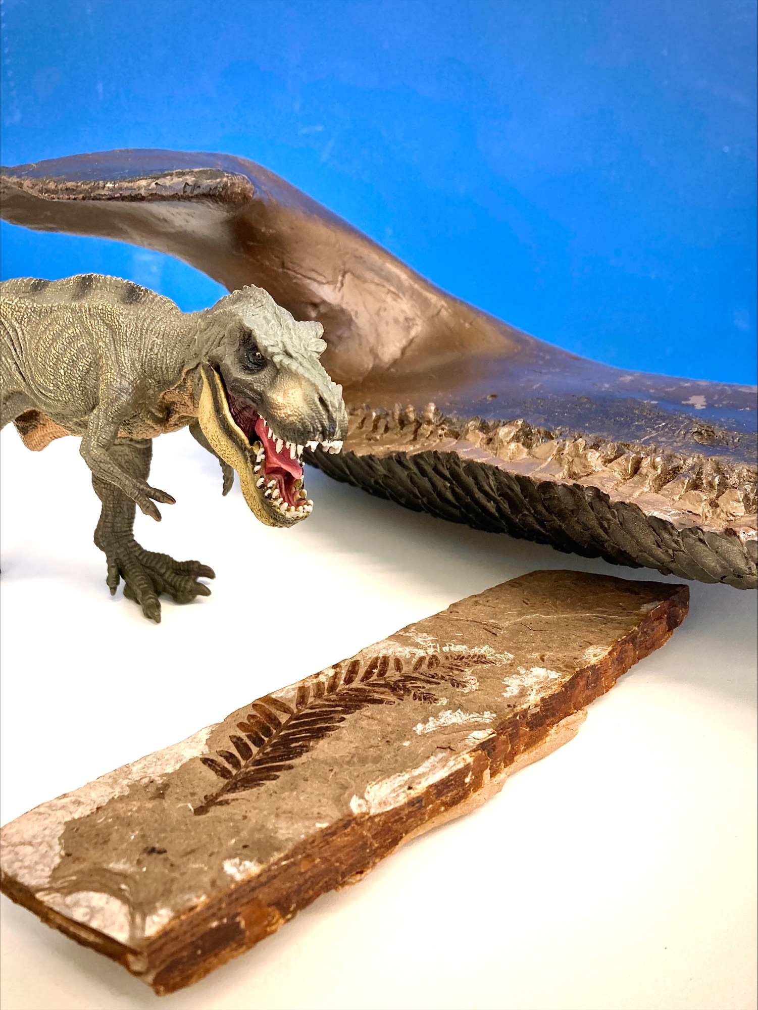 Center for Interactive Learning - Content Provider Program