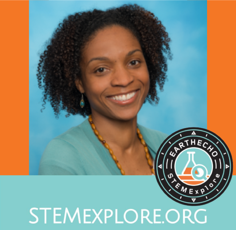 Center for Interactive Learning - Content Provider Program