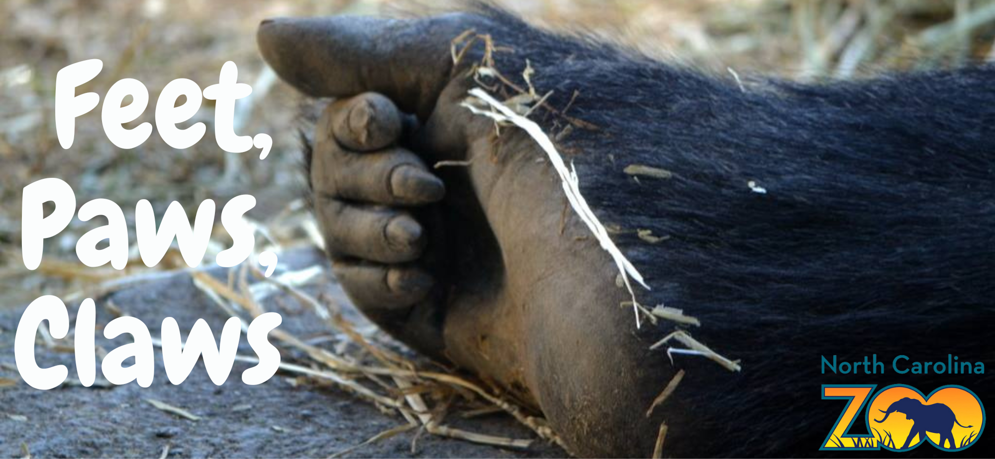 Center for Interactive Learning - Content Provider Program