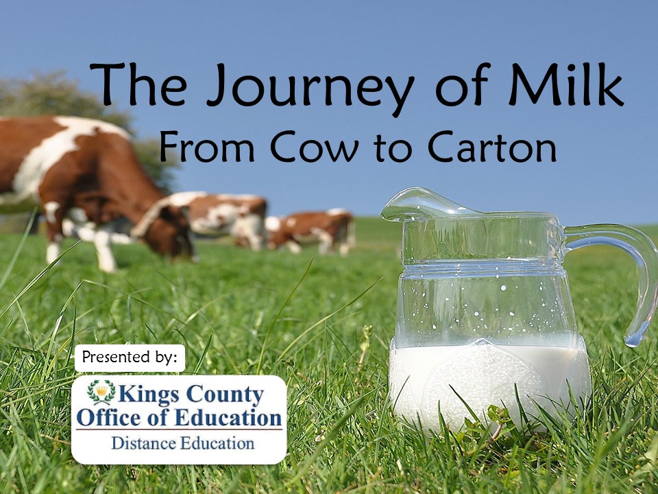 Center for Interactive Learning - ContentProviderProgram