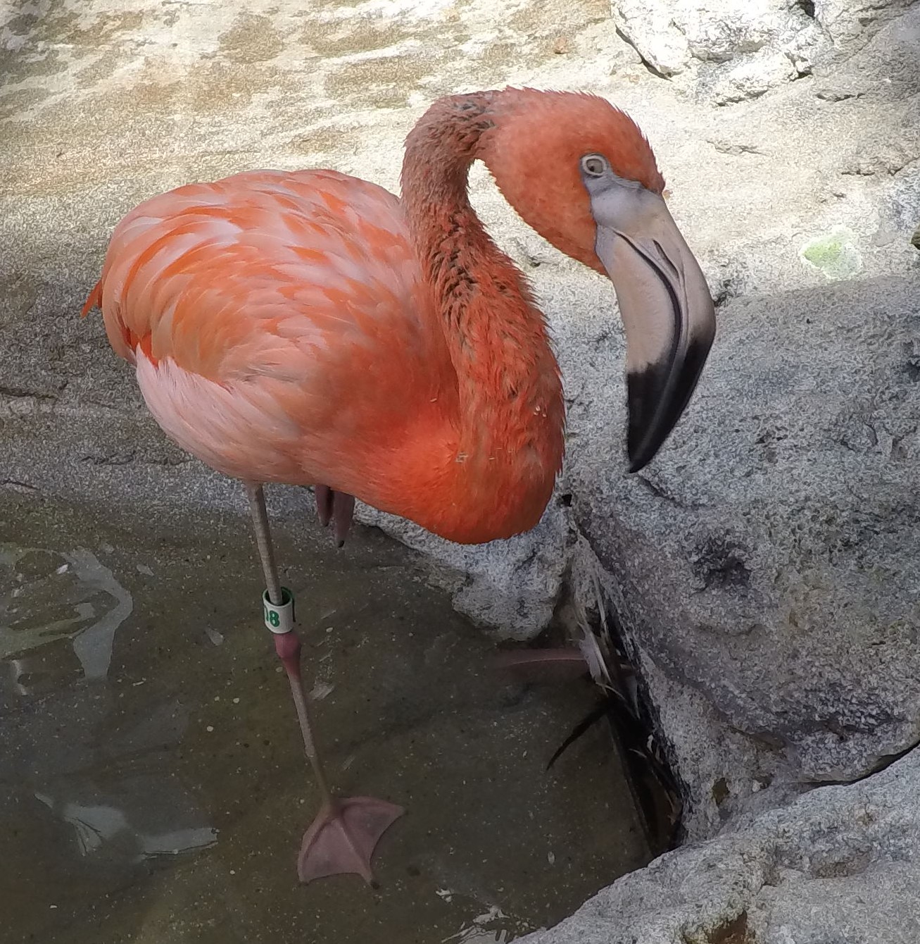 Center for Interactive Learning - Content Provider Program